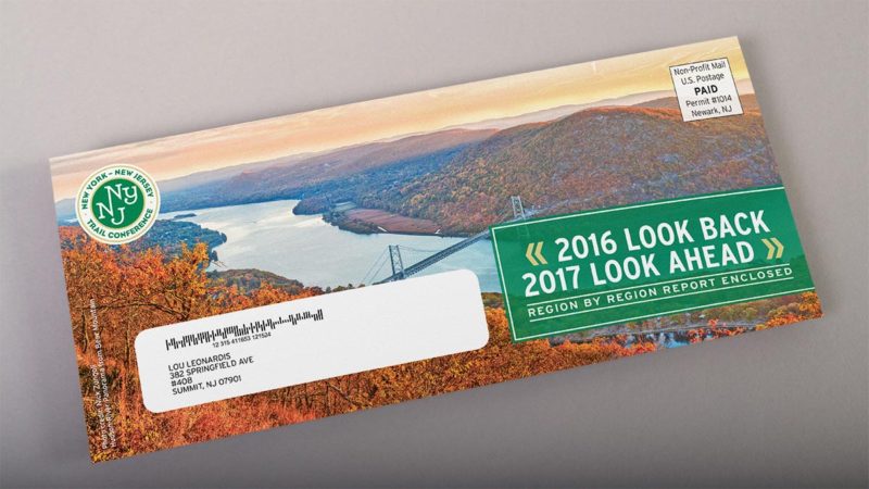 6 Spring Fundraising Appeal Design Ideas - Trillion Creative